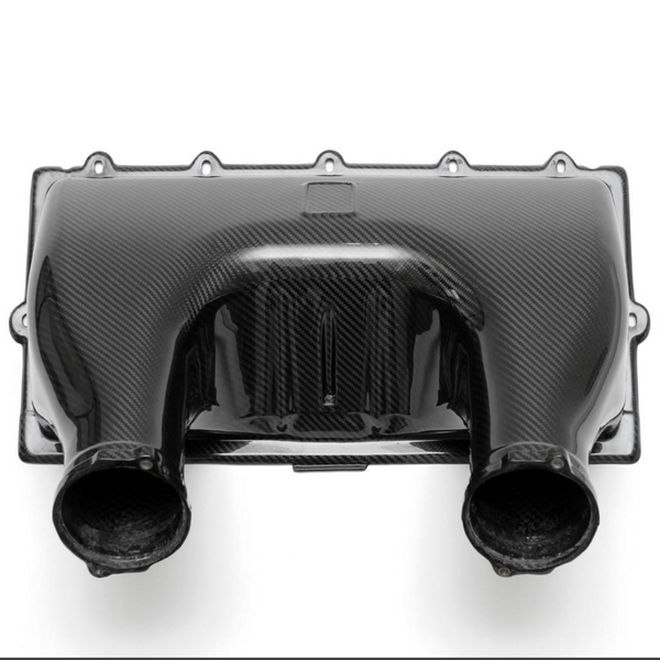 Fabspeed Ferrari 458 Italia Carbon Fiber Airbox Cover (2010-2015 ...